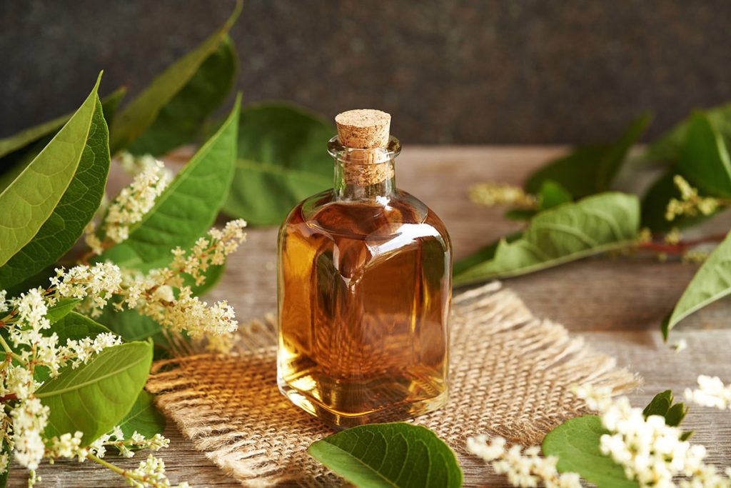 Resveratrol capsule - Dr. Lenkei